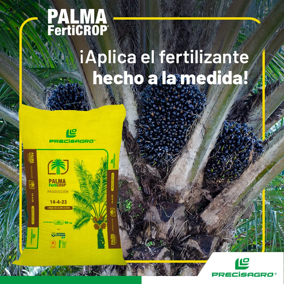 Palma FertiCrop® Producción - Precisagro Ecuador